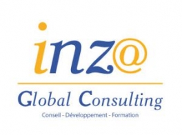 Inzo Global Consulting – CONNECTING TECHNOLOGY AND BUSINESS